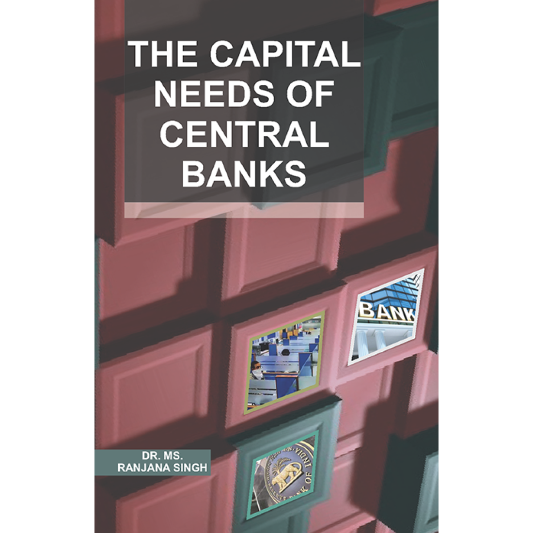 The Capital Needs of Central Banks